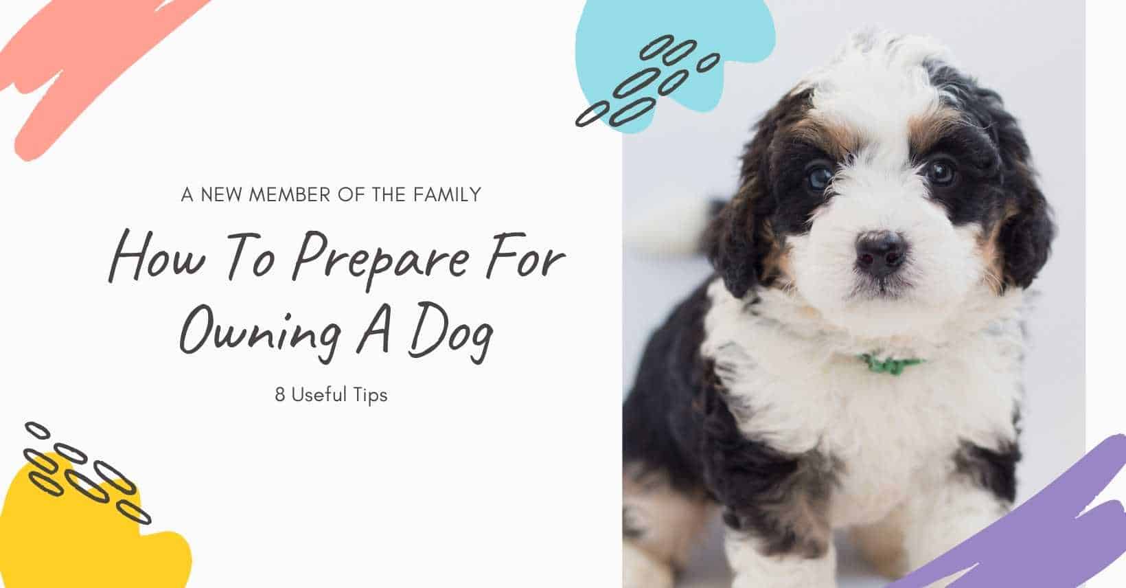 How To Prepare For Owning A Dog - 8 Useful Tips